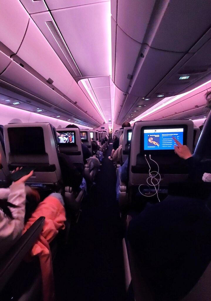Delta Airlines Economy Long-Haul Review- Airbus A350-900