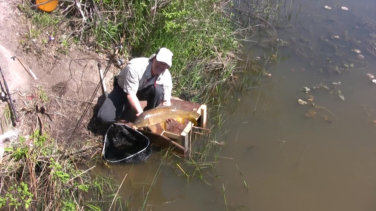 Homemade boilies and a hair rig to catch shore carp