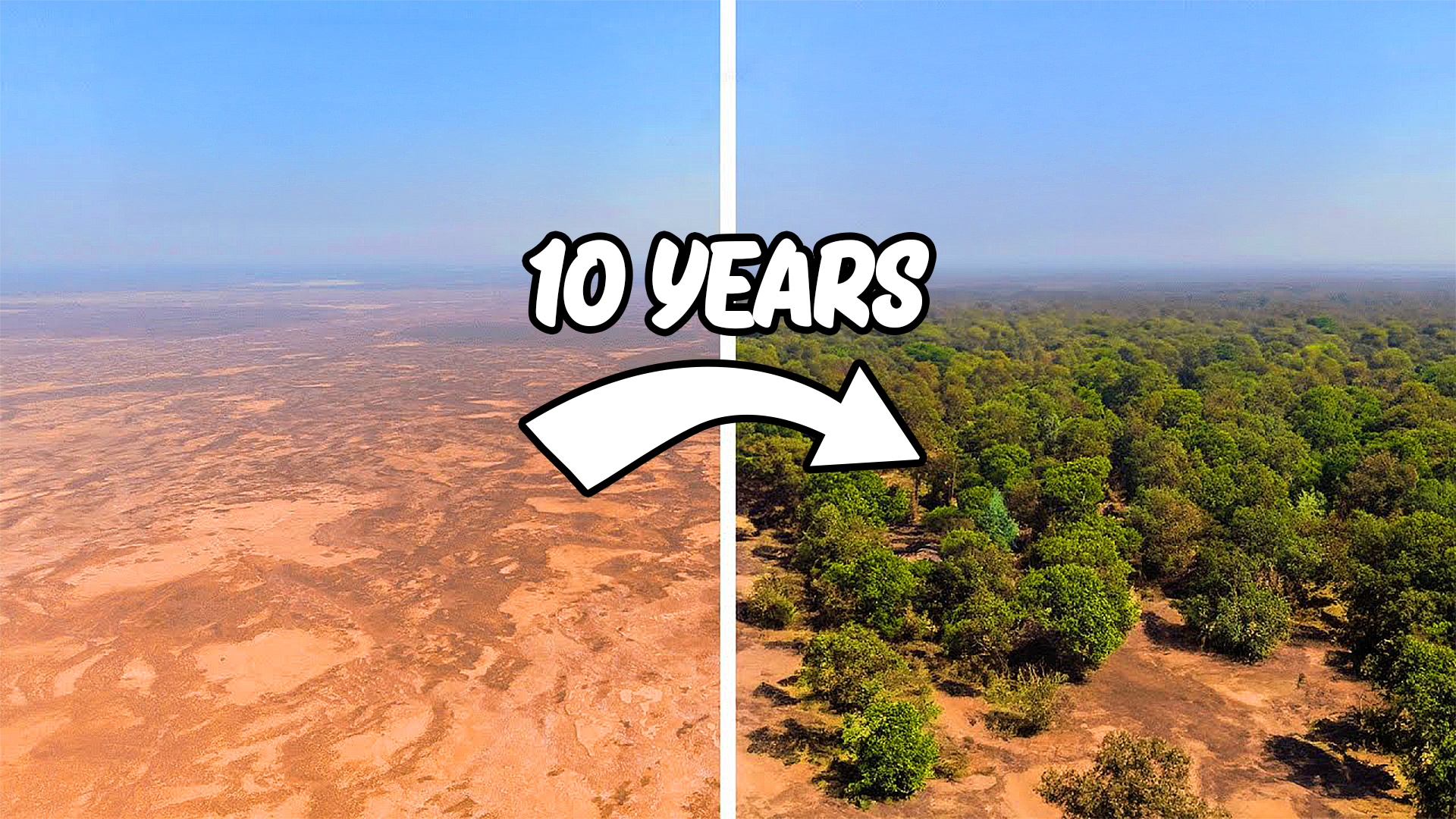 The fight against desertification in Africa