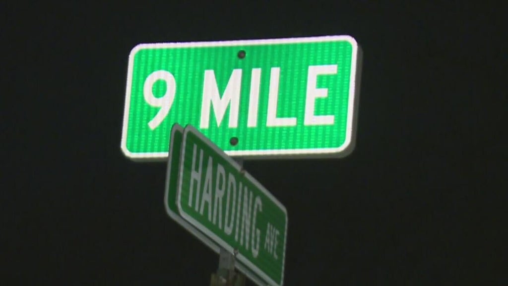 Man charged in Oak Park hit-and-run that killed disabled veteran