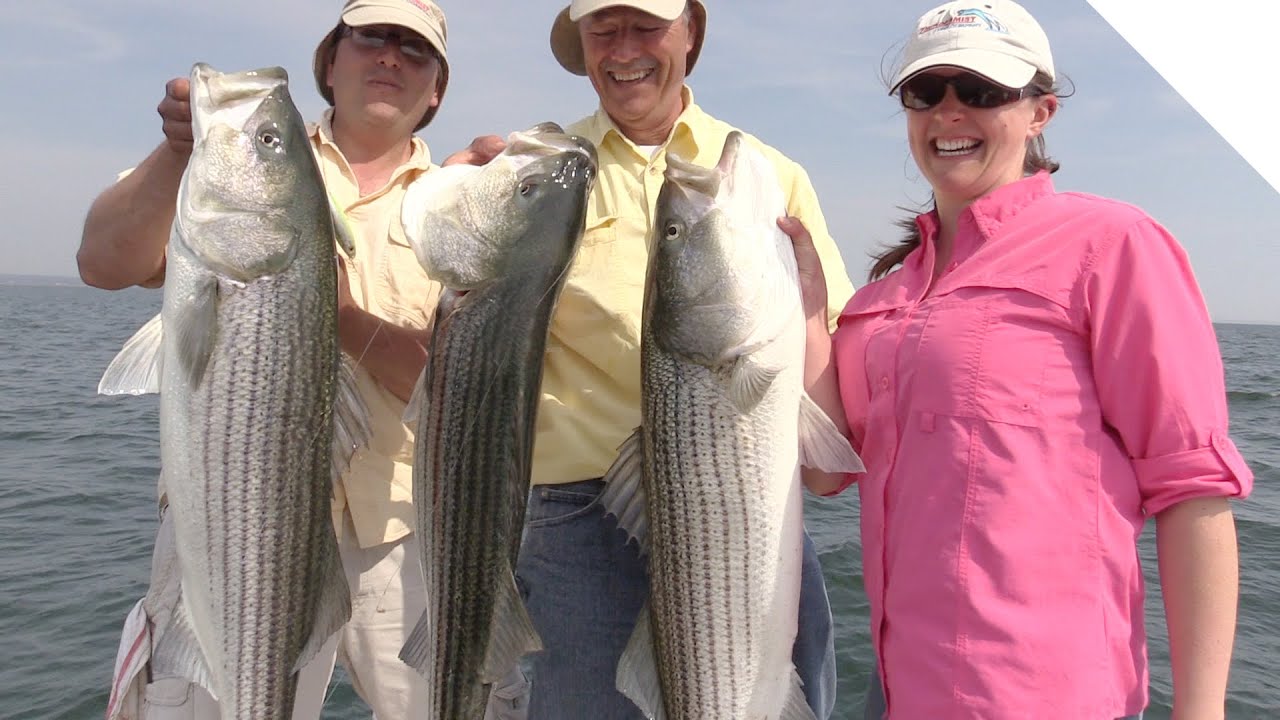 Huge top water striper triple-header! Crazy top water action!