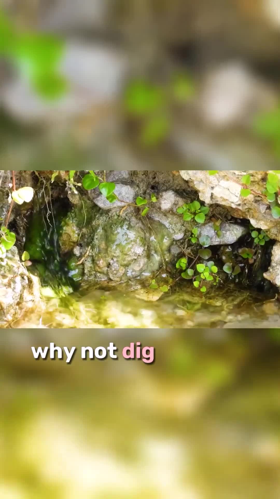 Build the most beautiful underground water swimming pool temple