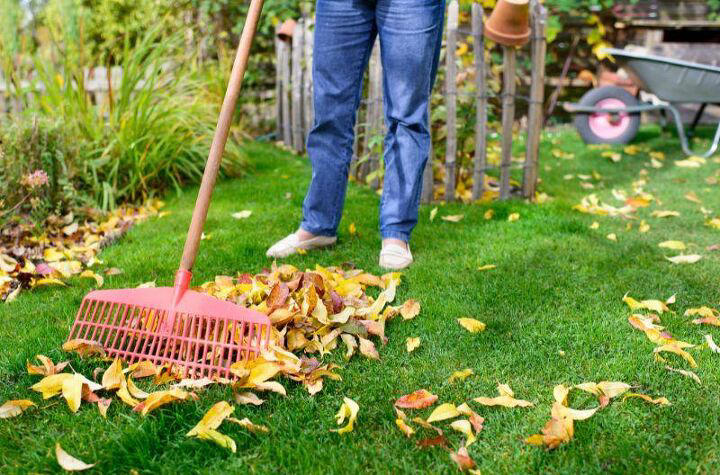 Outdoor Home Chores That Pay Off All Year Round