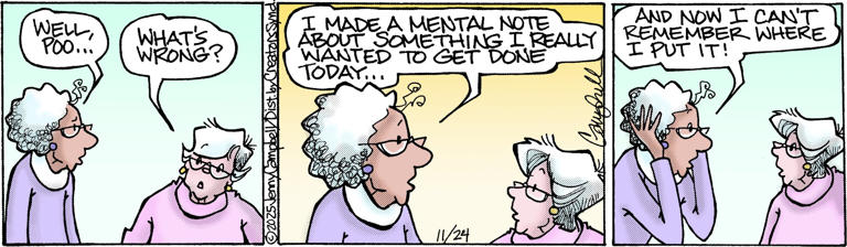 Comic Strips: Today's Comics From LightWave Reports (11/24)