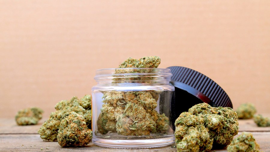 New cannabis programs bloom at this Ohio university