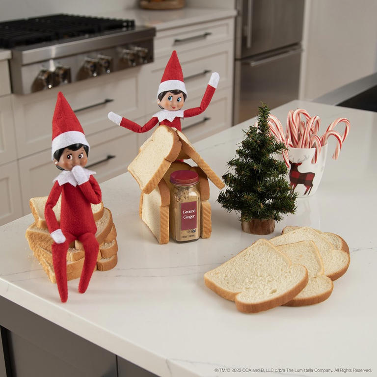 55 Easy Elf on the Shelf Ideas Your Kids Will Love (But Require Almost ...