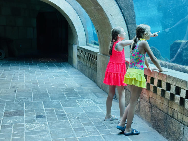 Family-friendly things to do in Atlantis: Aquaventure Water Park and ...
