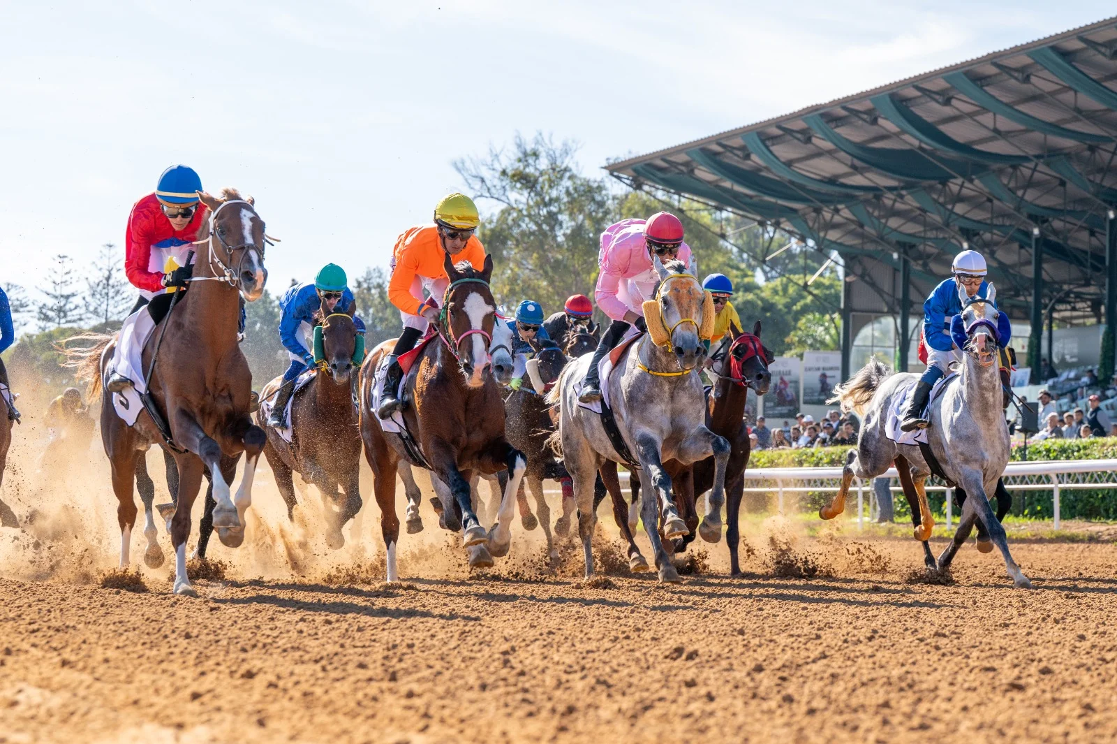 High energy and international wins mark Morocco’s 11th International ...