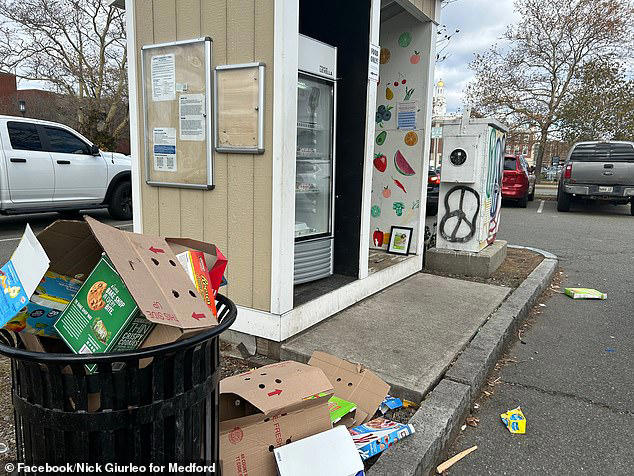 Boston suburb outraged after woke mayor announces trash will only be ...