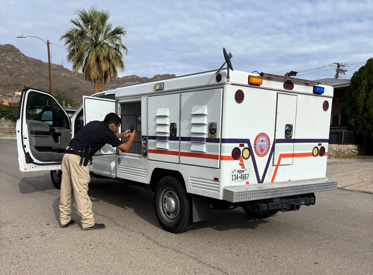 City Council takes first step on tougher dog attack rules; Beast Urban ...