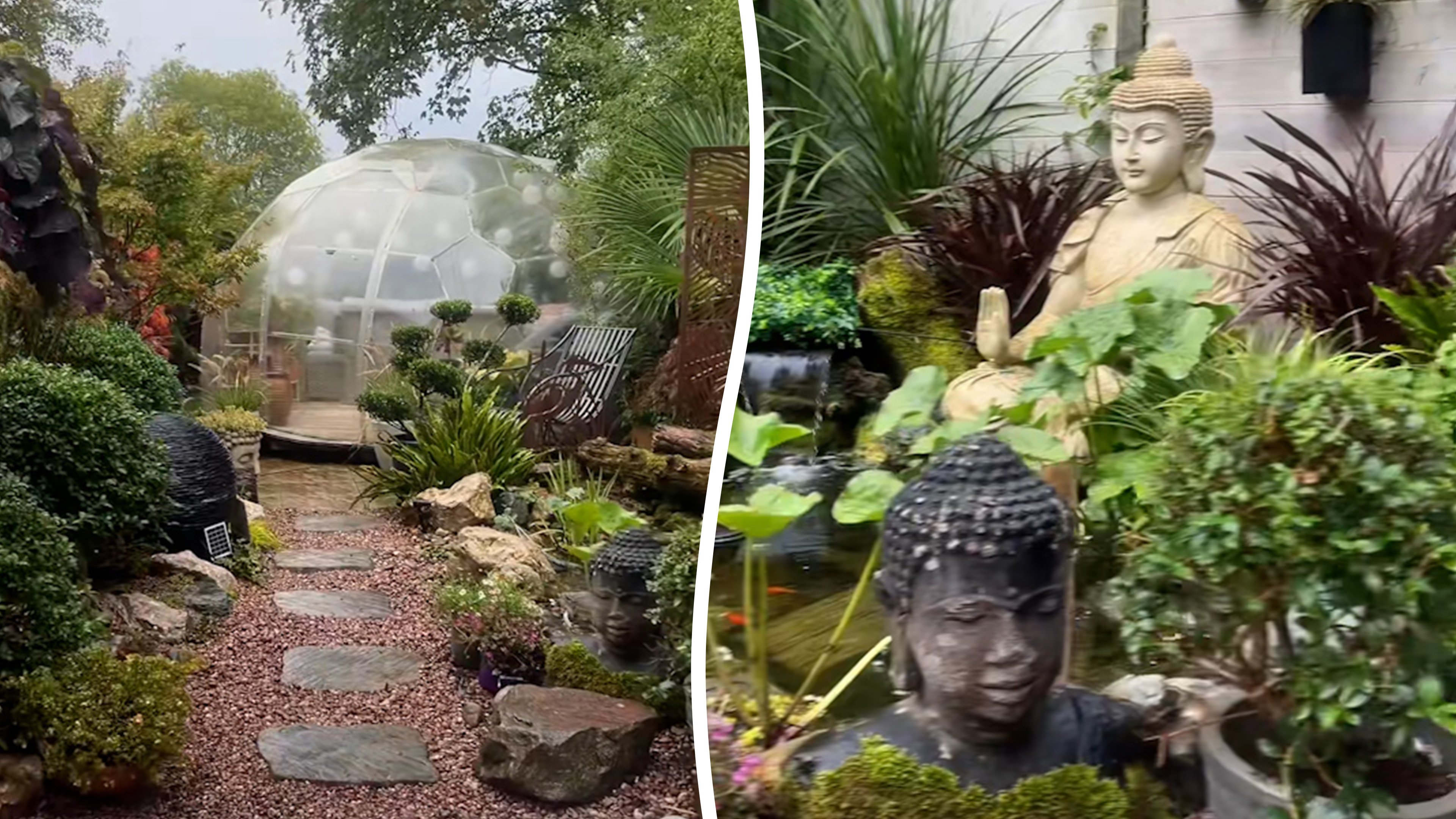 'I spent my 20s building my dream garden instead of going out - I don't ...