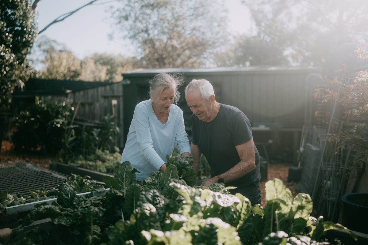 7 healthy hobbies that could add years to your life