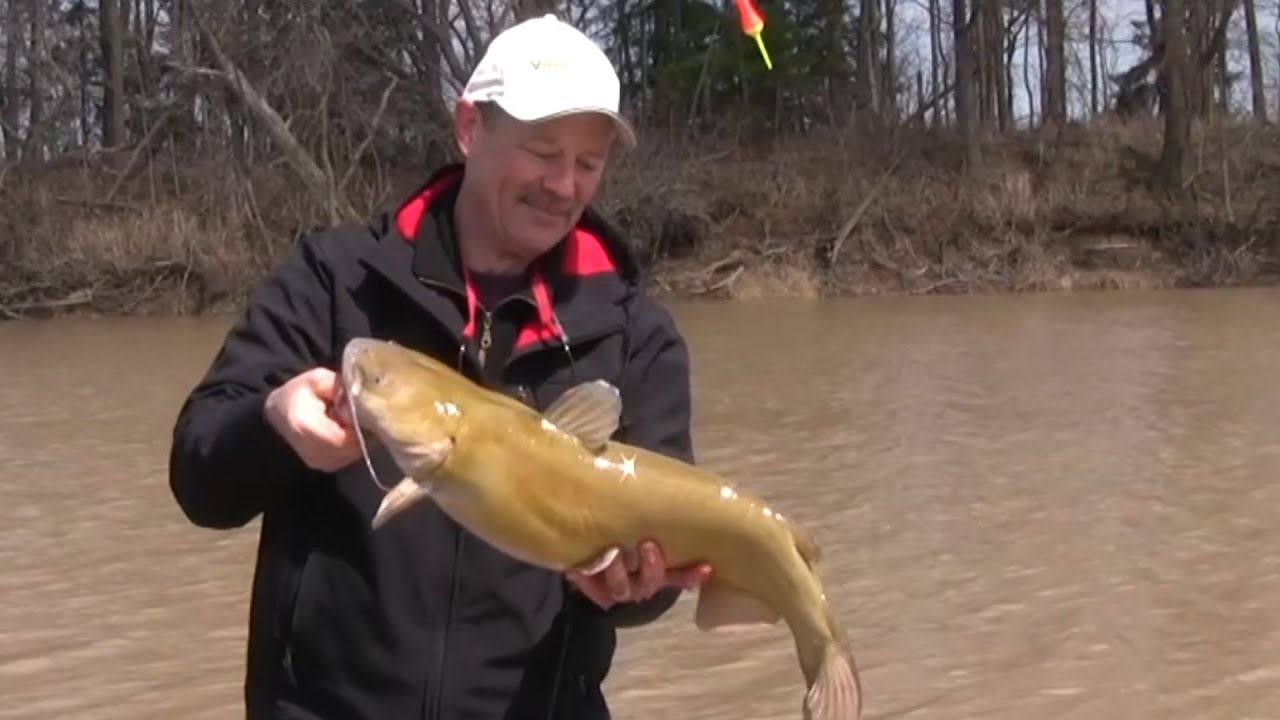 How to shore fish for bowfin and channel catfish