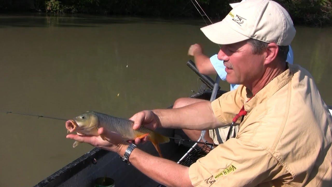 How to fish for carp from a small boat