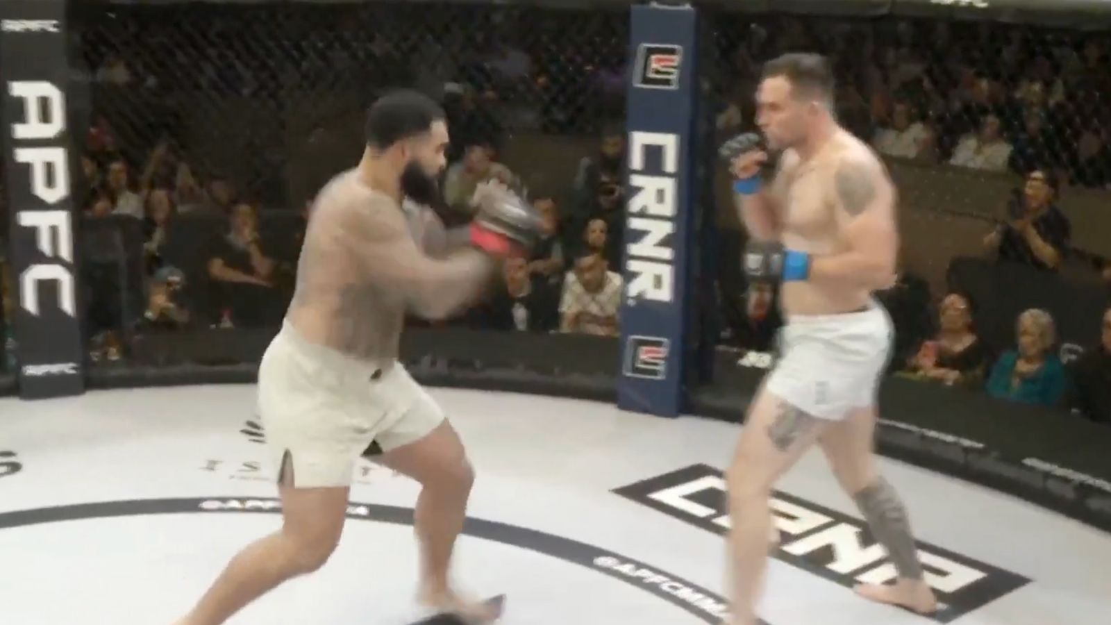 Gable Steveson Knocks Out Kevin Hein in 24 Seconds at APFC 21 - Highlights