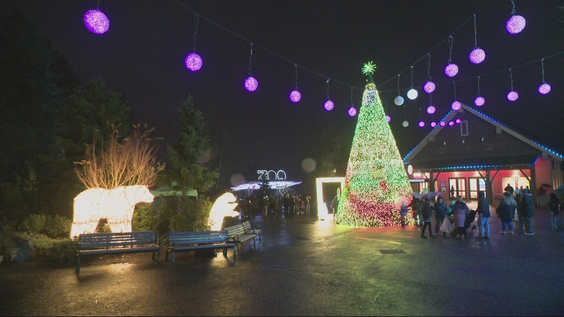 Zoo Lights opens with dozens of new displays: 'It's really a Christmas ...
