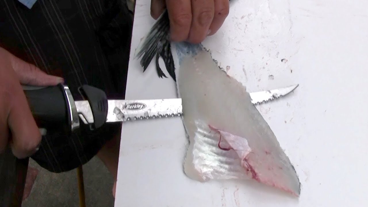 How to use an electric fillet knife (boneless bass fillets)