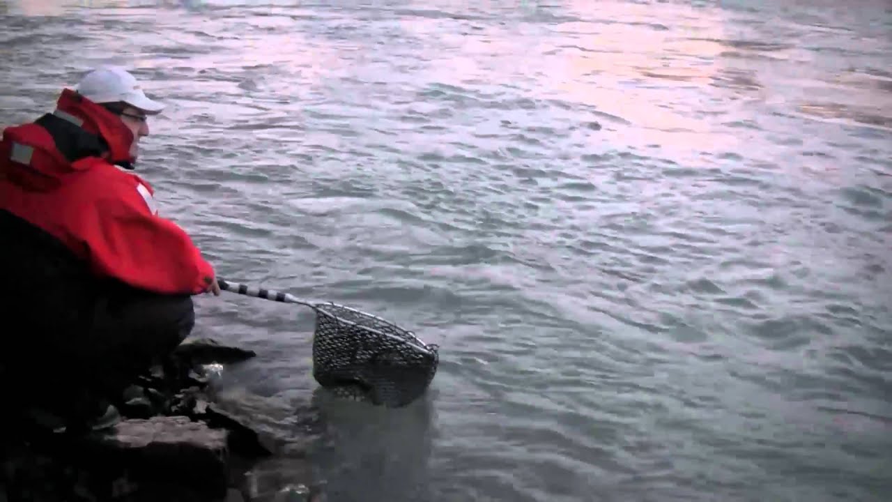 Secrets to fishing for brown trout - Shore fishing for brown trout