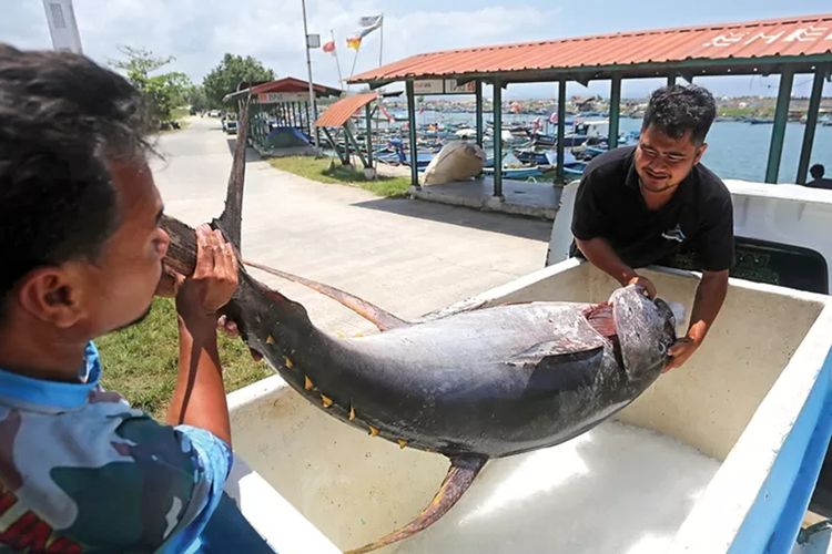 Permintaan Tuna Berkelanjutan Melonjak, Indonesia Didorong Perkuat ...