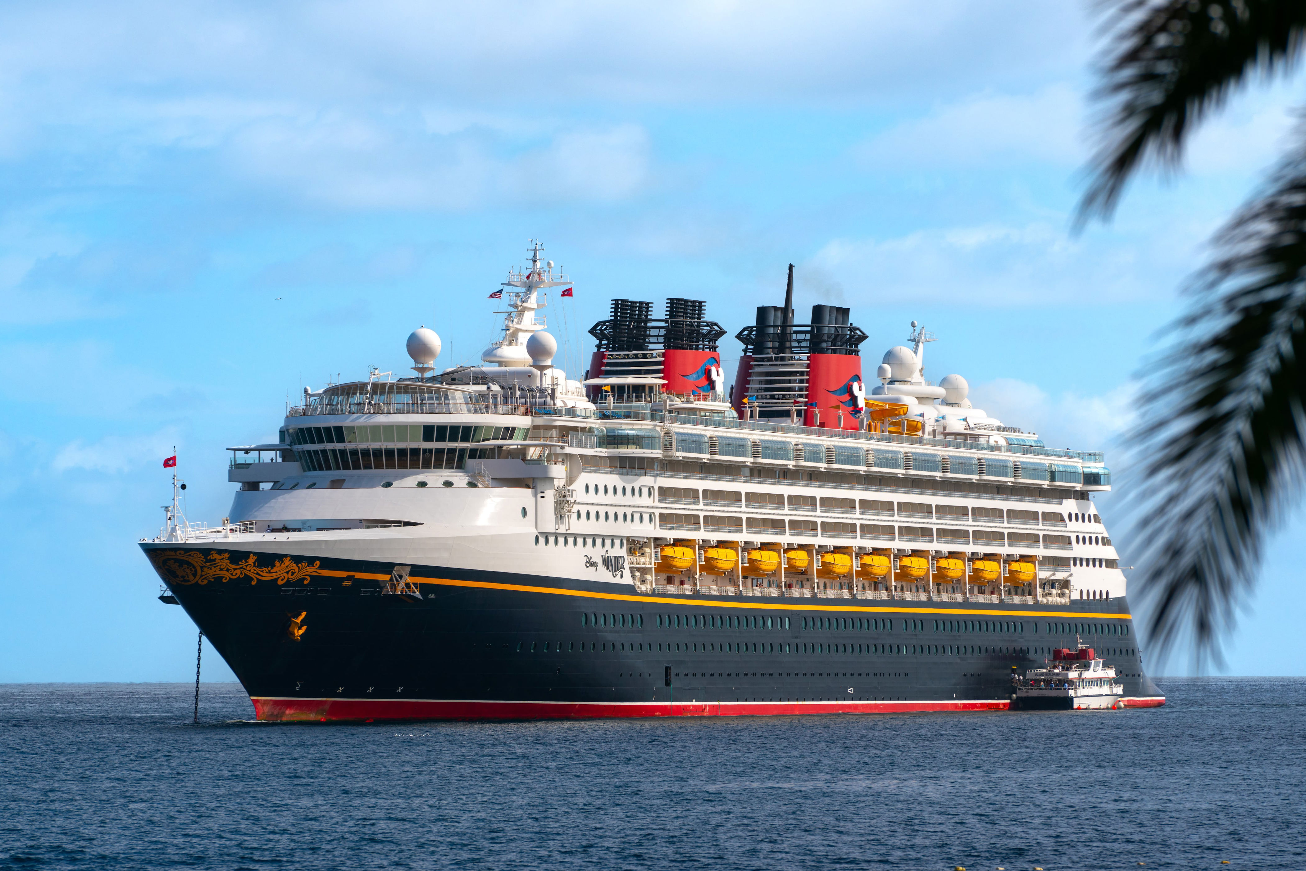 Disney Cruise Passenger, 73, Dies After Plunging From Ship