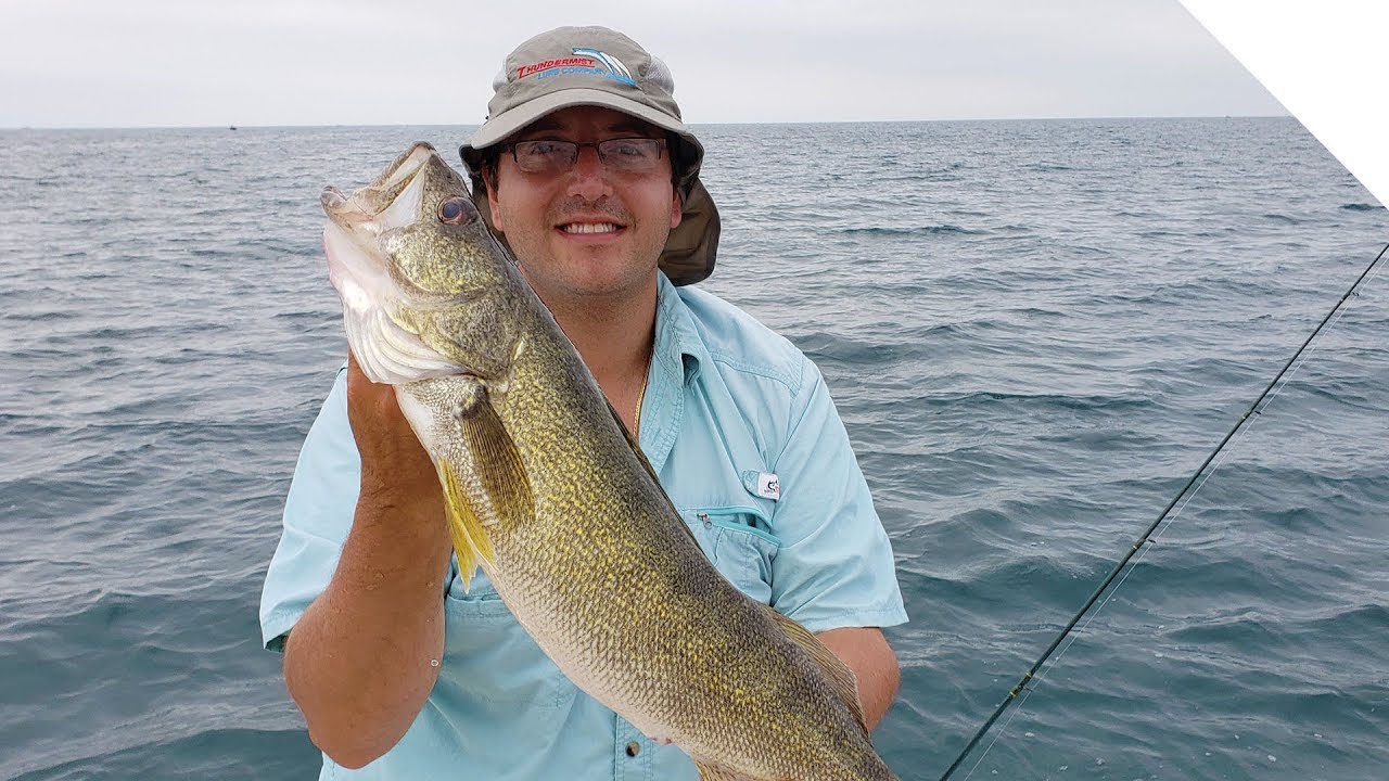 Trolling for walleye in Lake Erie with nightcrawlers
