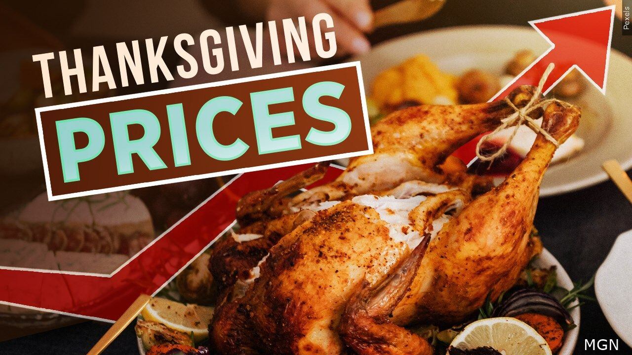 Thanksgiving grocery shopping: Where to find the best deals