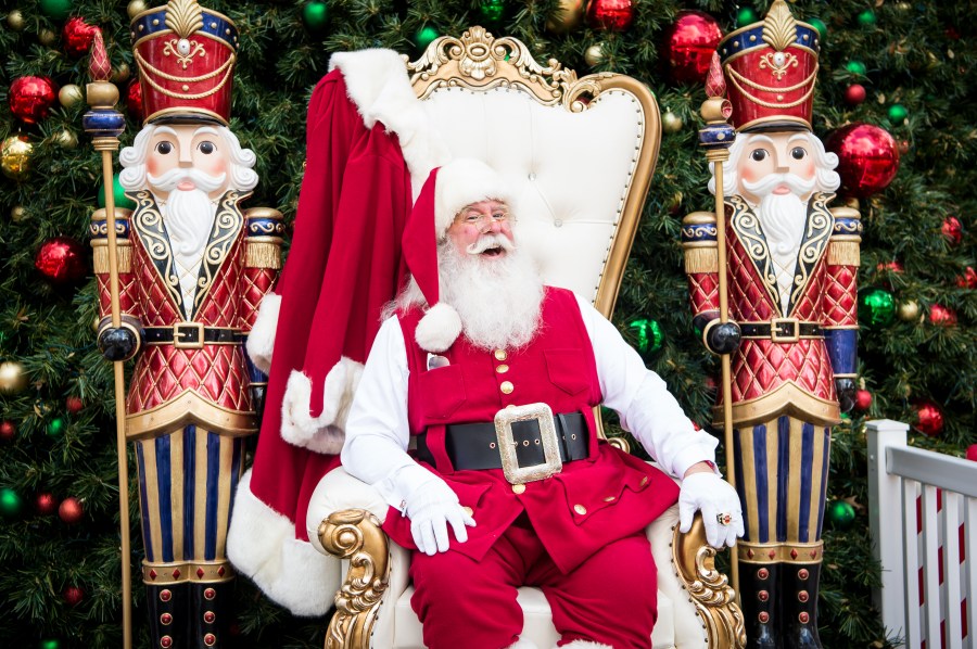 Klyde Warren Park’s highly anticipated Tree Lighting Celebration returns