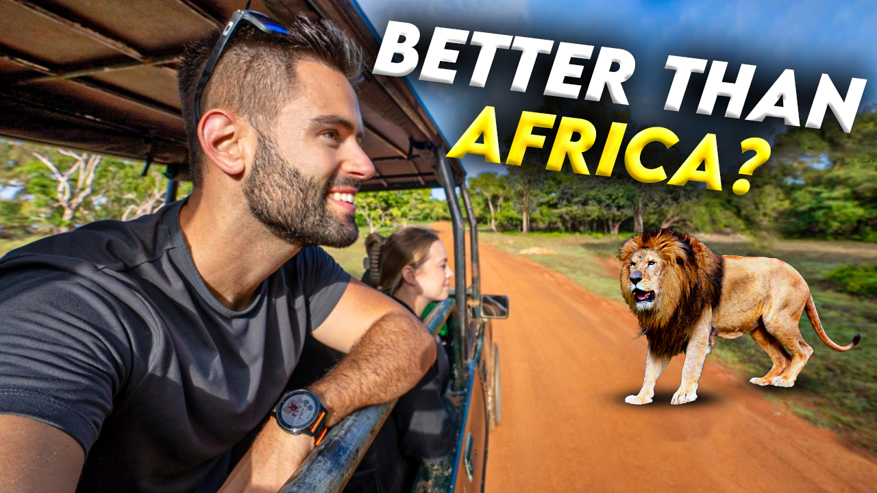 African Safari Experience vs Sri Lankan Jungle Adventure