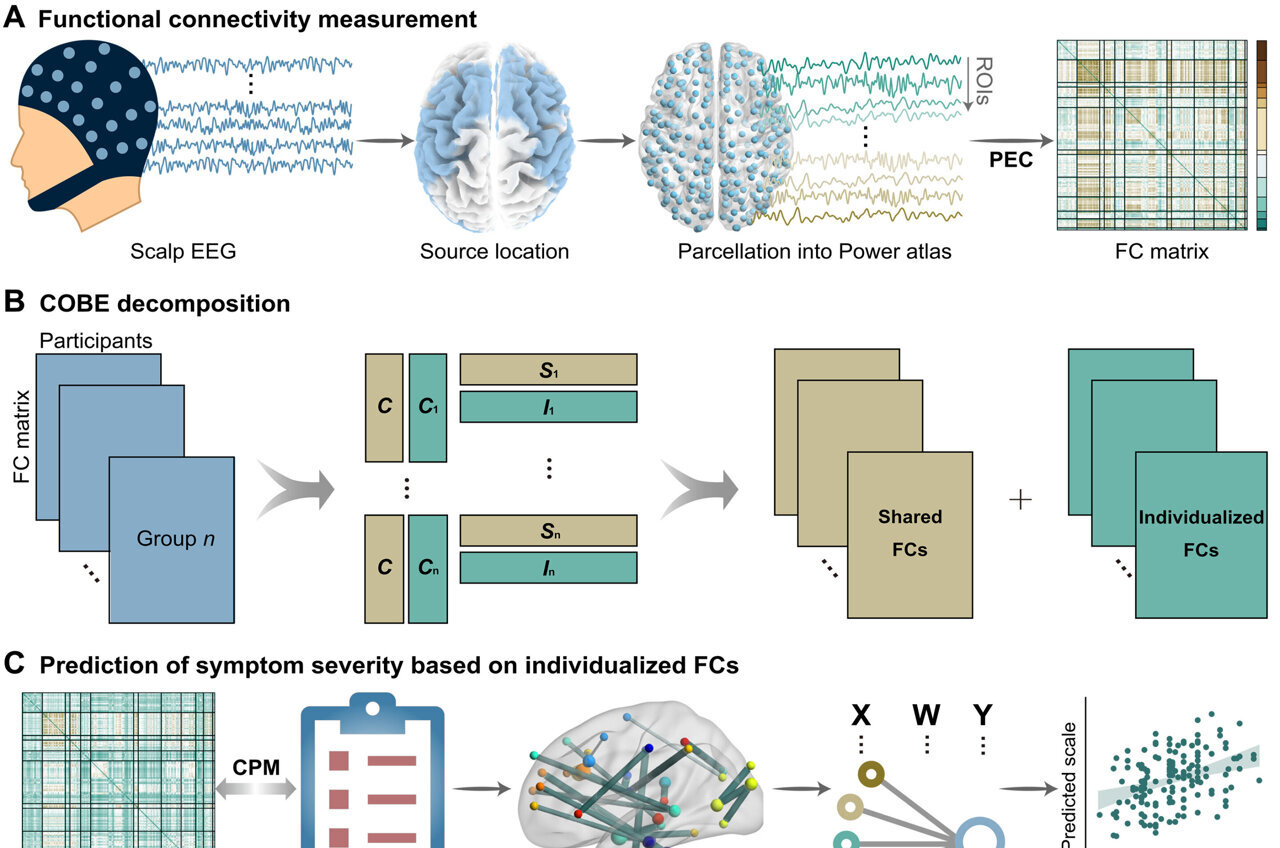 Decision tree distinguishes closely related psychotic disorders