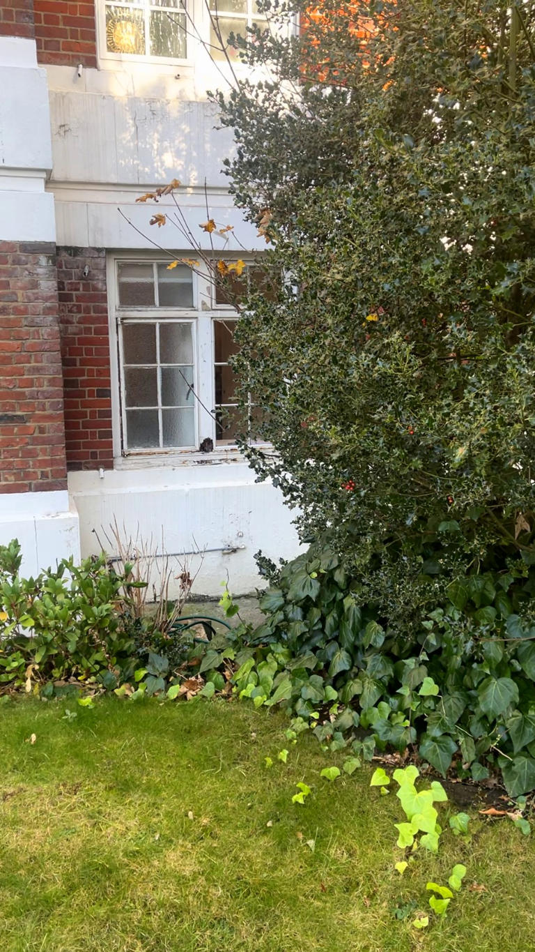 £16,000 to replace two windows in London flat is 'red tape lunacy'