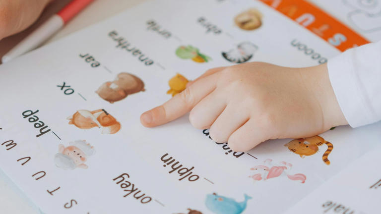 Why Kids Learn Languages So Much Better Than Adults