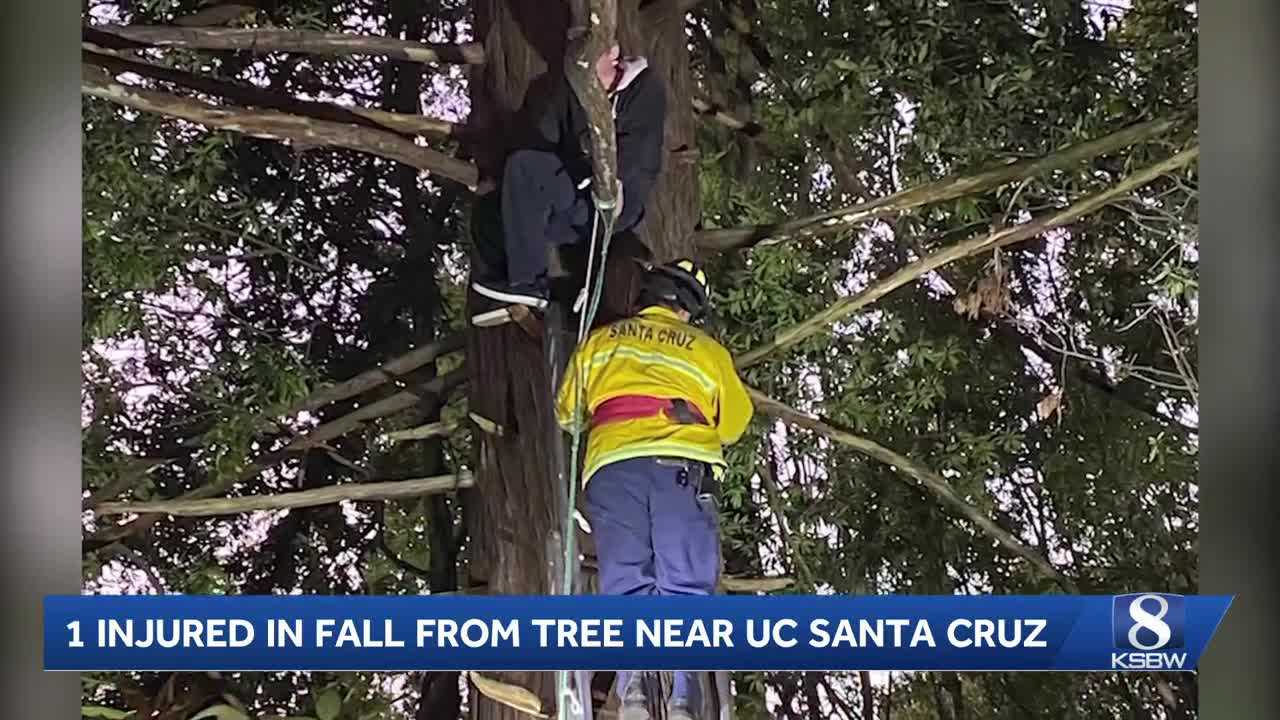 1 falls 80 feet; second rescued from redwood tree near UC Santa Cruz