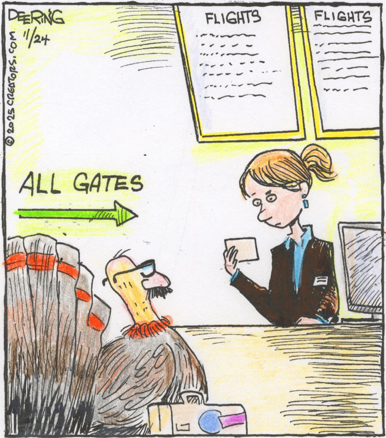 Comic Strips: Today's Comics From LightWave Reports (11/24)