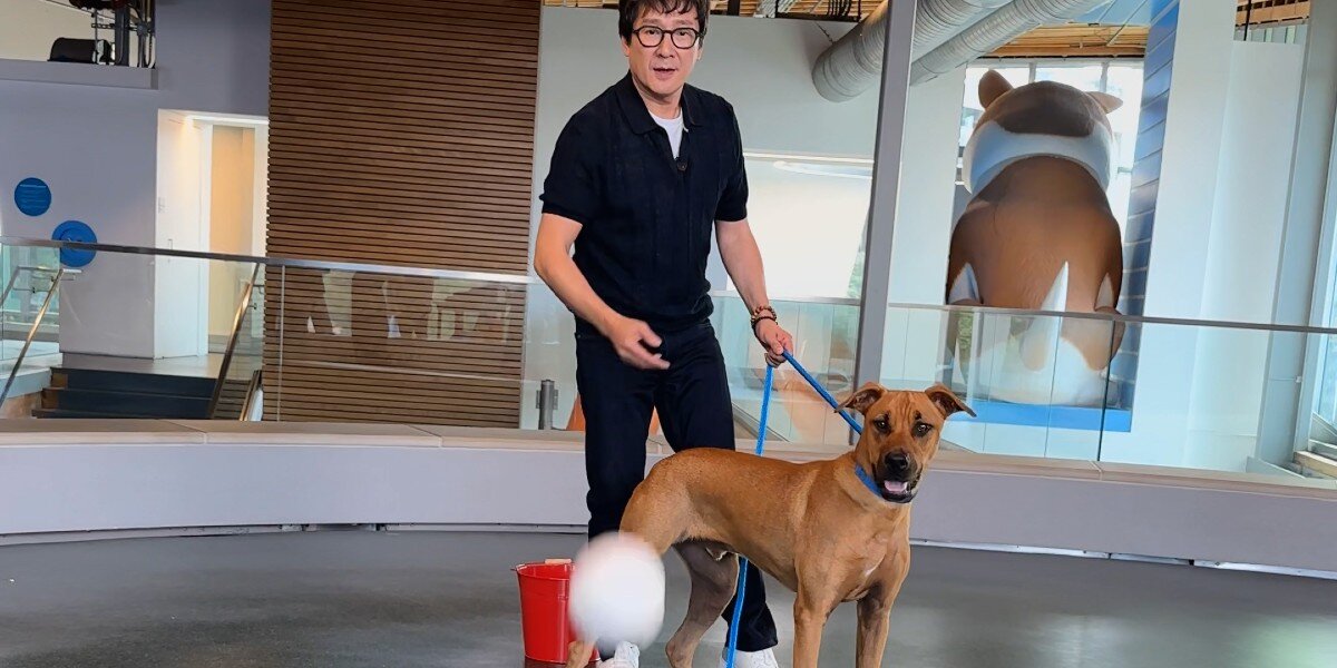 Ke Huy Quan Goes On A Dream Date With A Dog — And A Snake