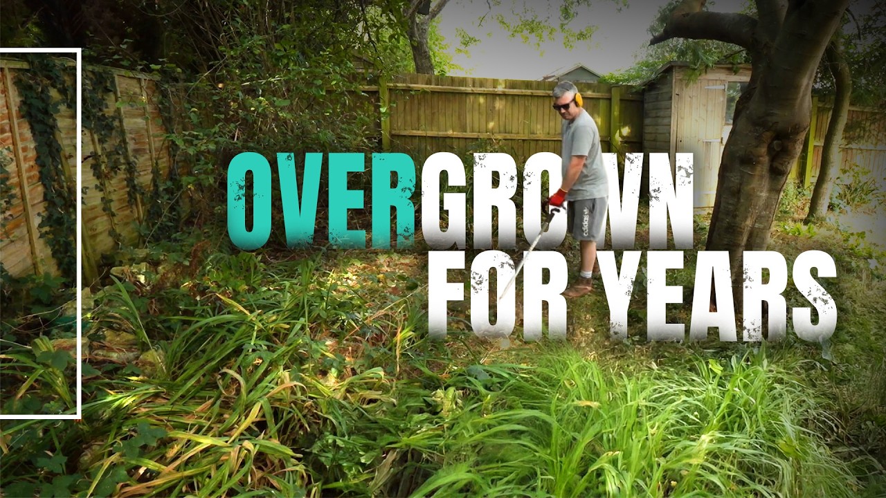 Overgrown for years, can we save it?