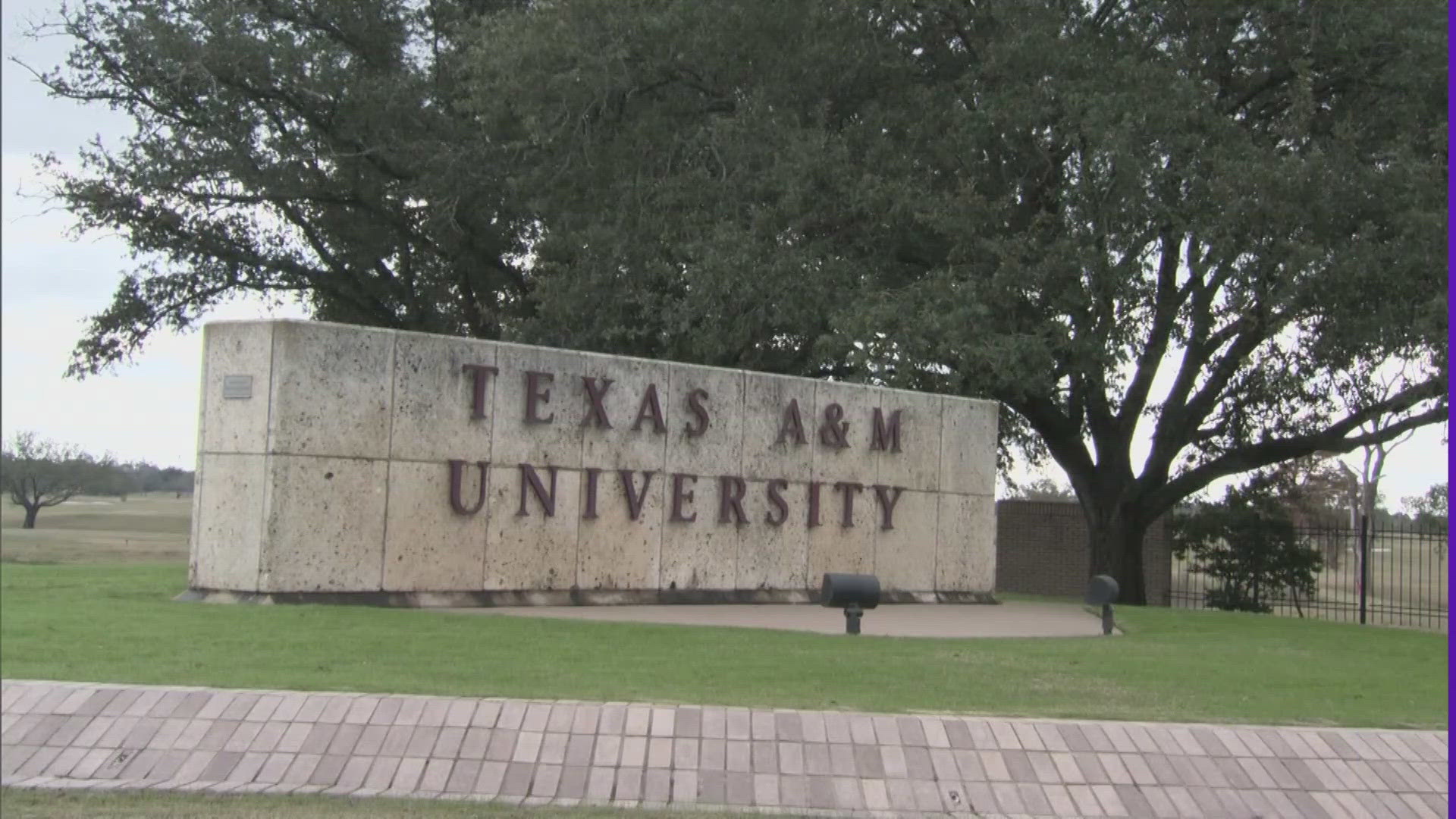 Faculty panel: Texas A&M wrongly fired professor after gender lesson