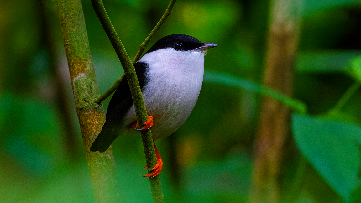 Discover the Hidden Paradise of Tayrona National Park