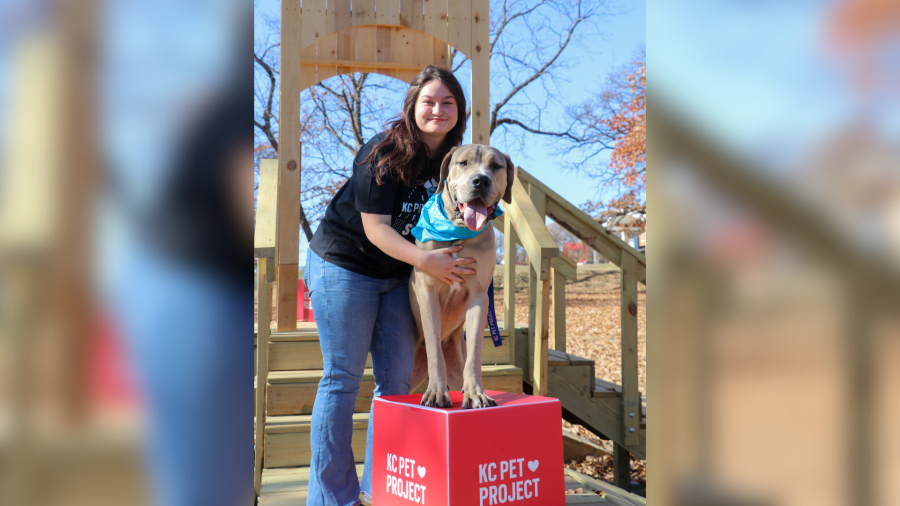 KC Pet Project unveils new ‘BARKS & REC’ playground for shelter dogs