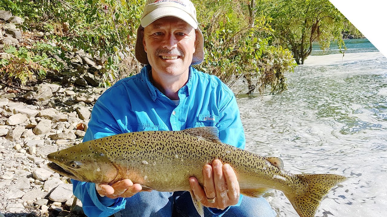 Salmon fishing with braided line tips