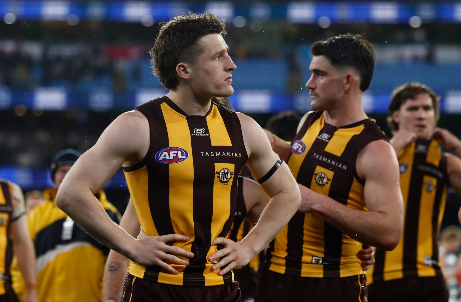 “Got a long way to go”: Young Hawk yet to settle as Mitchell’s men ...