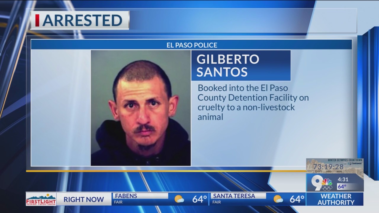 Social media video leads to animal cruelty arrest