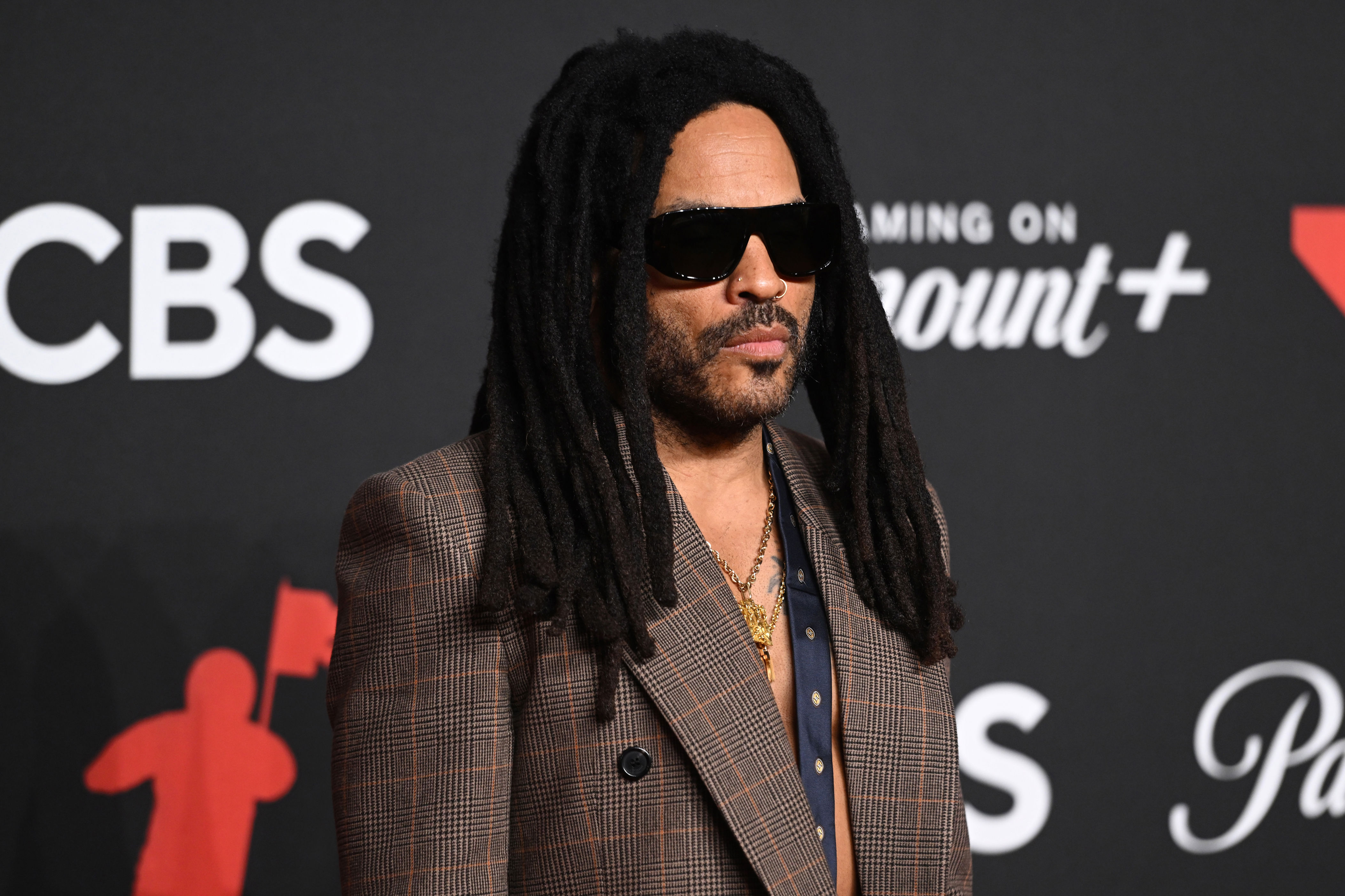 Lenny Kravitz Says a Female Fan Ripped Four of His Dreadlocks During a ...