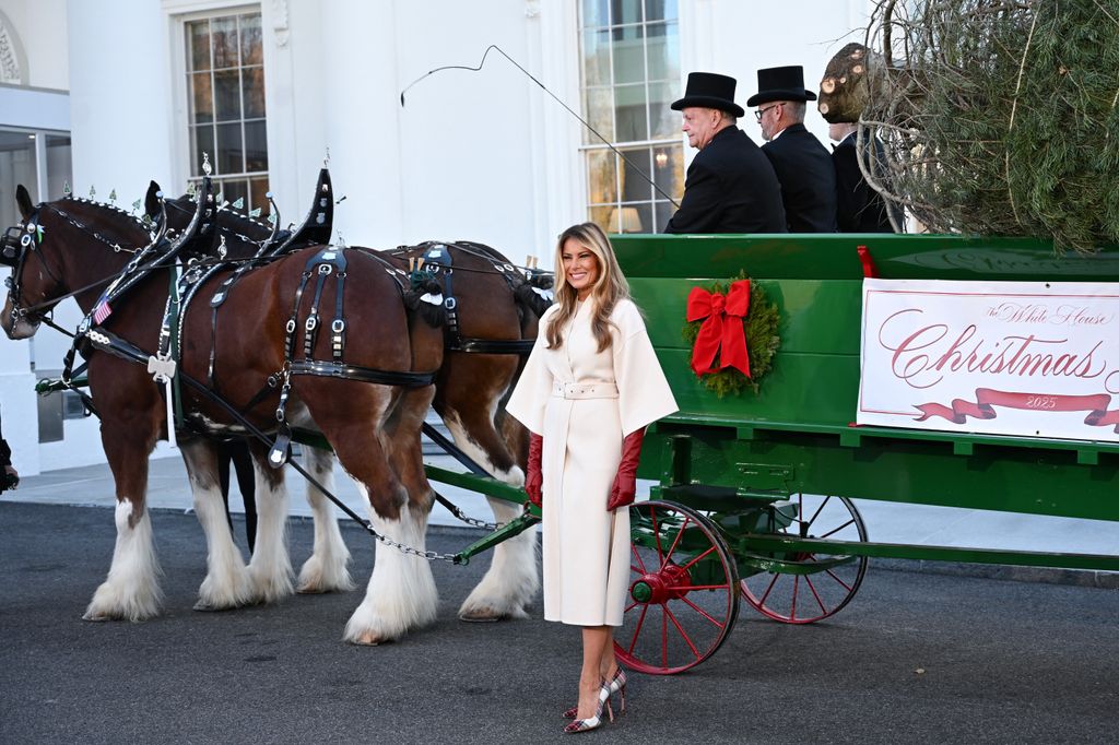 First Lady Melania Trump looks festive as she receives White House ...
