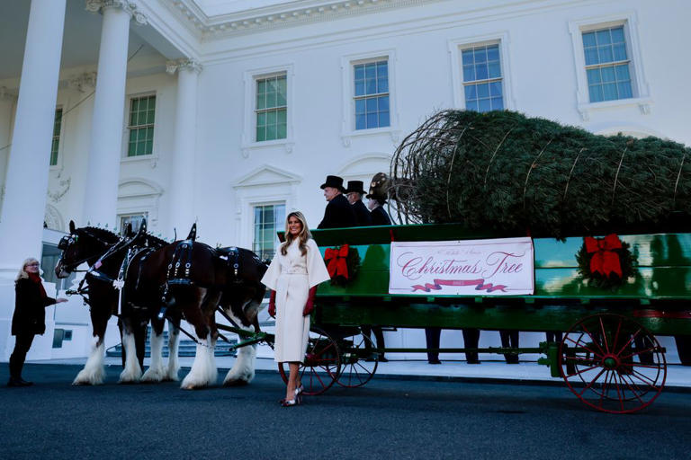 First Lady Melania Trump looks festive as she receives White House ...