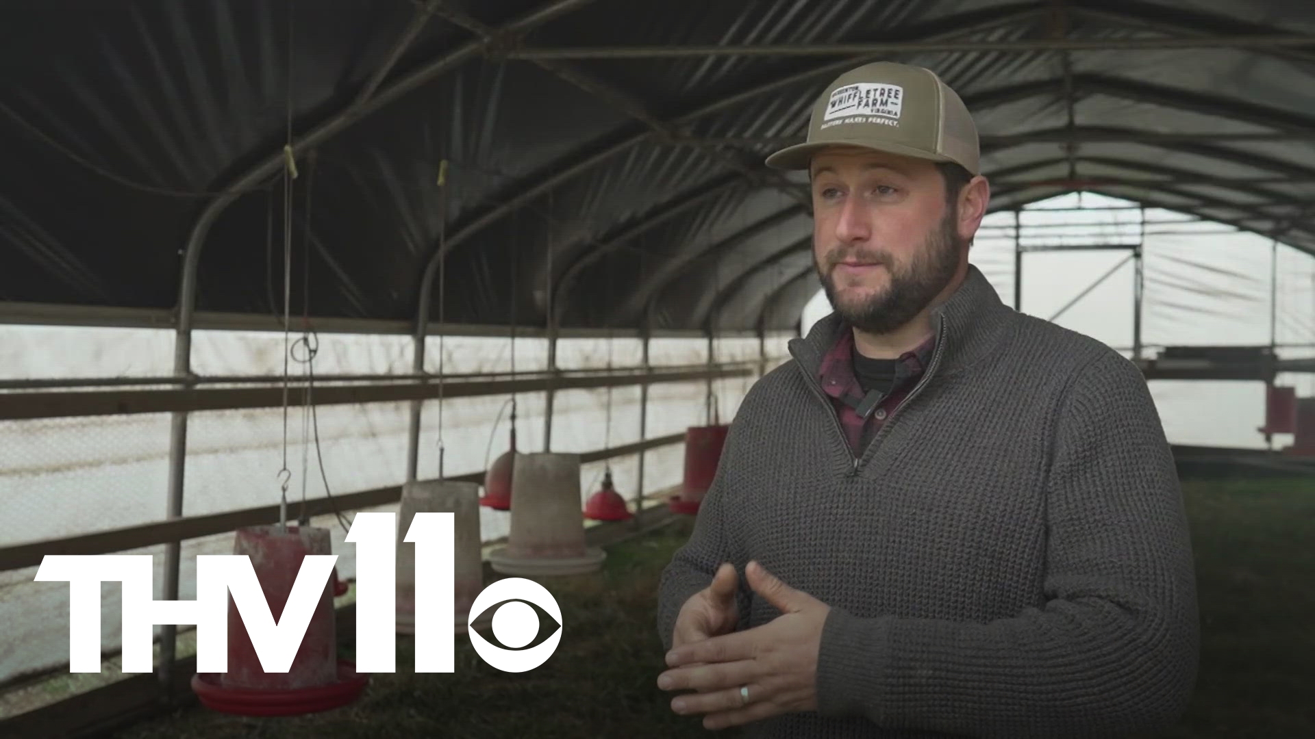 Turkey farmers facing challenges this Thanksgiving season