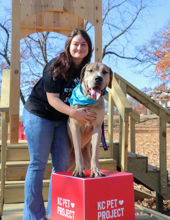 KC Pet Project unveils new ‘BARKS & REC’ playground for shelter dogs