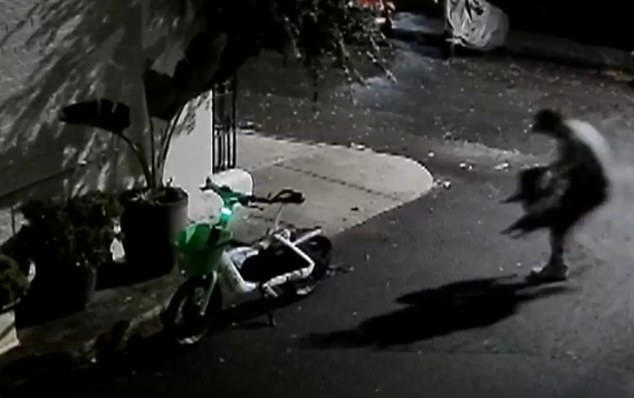 Urgent plea after dogs snatched from woman's garden as 'dog-napper ...