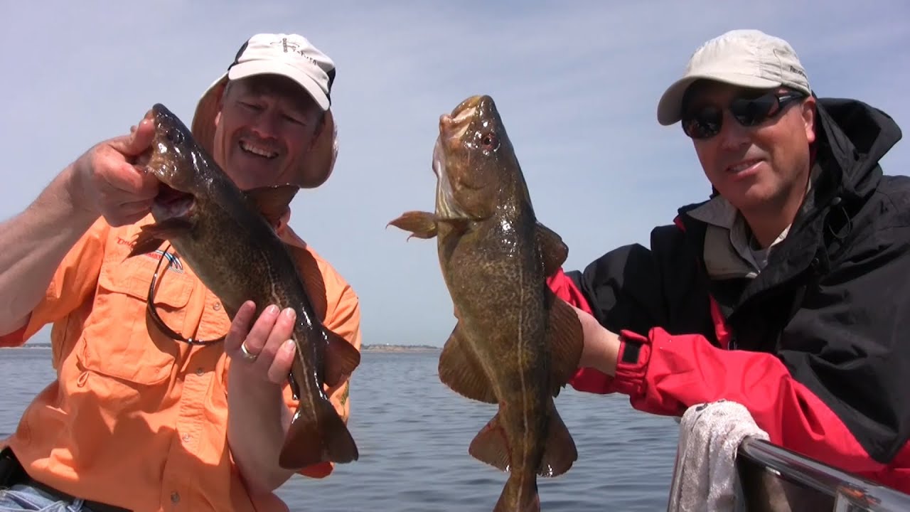 How to jig for saltwater cod - Part 1