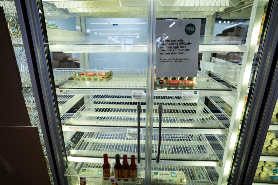 First death reported from rare bird flu strain