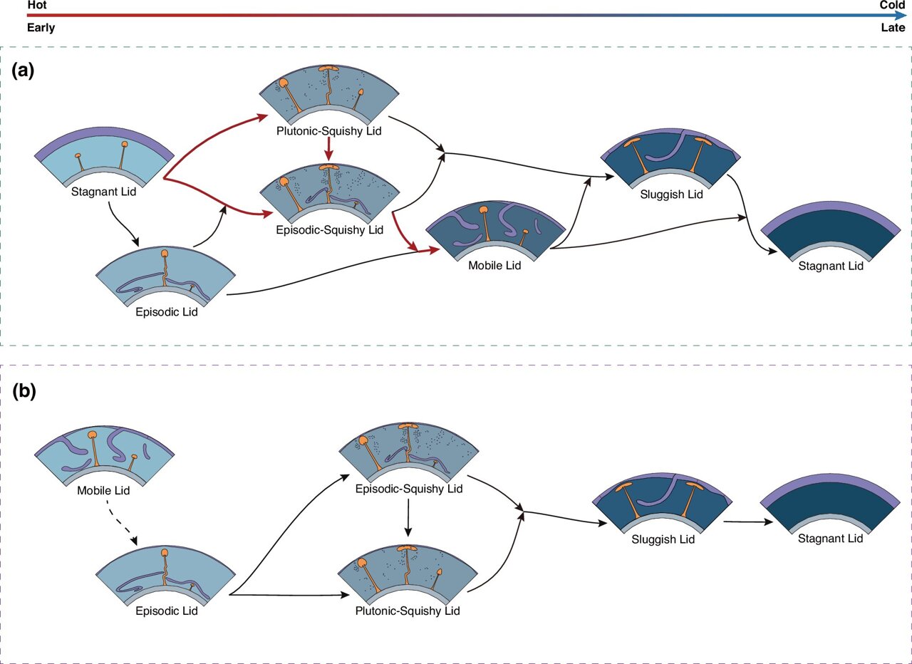 Tectonic regimes of terrestrial planets could explain Earth and Venus's ...